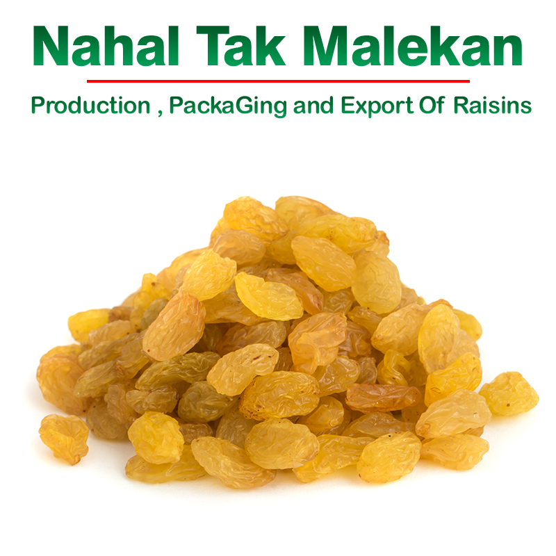 Nahal Tak Malekan | Raisin export| Sell raisins